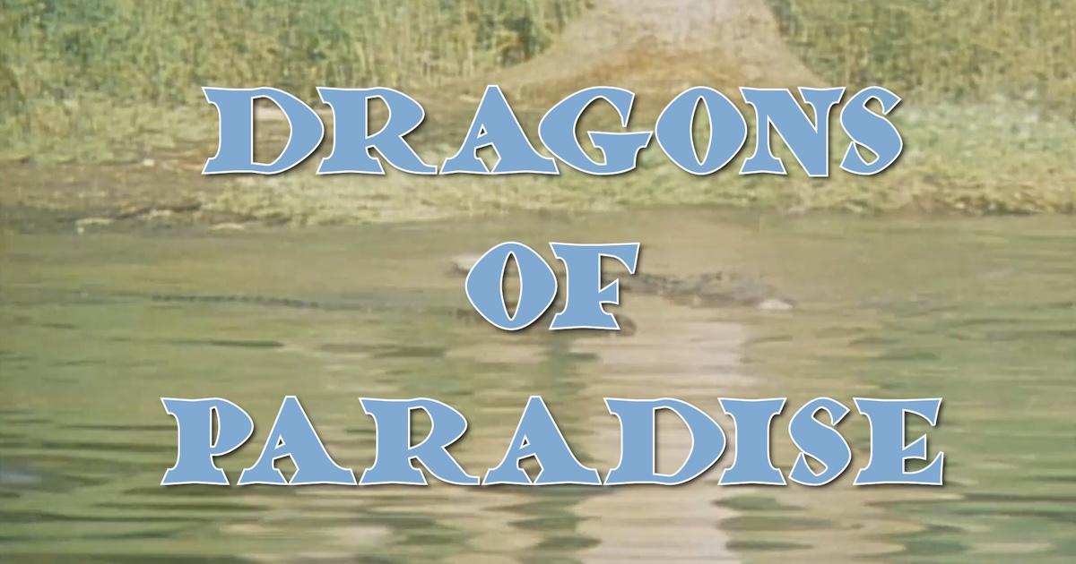 WFSU Documentary & Public Affairs | Dragons of Paradise: Trailer | PBS