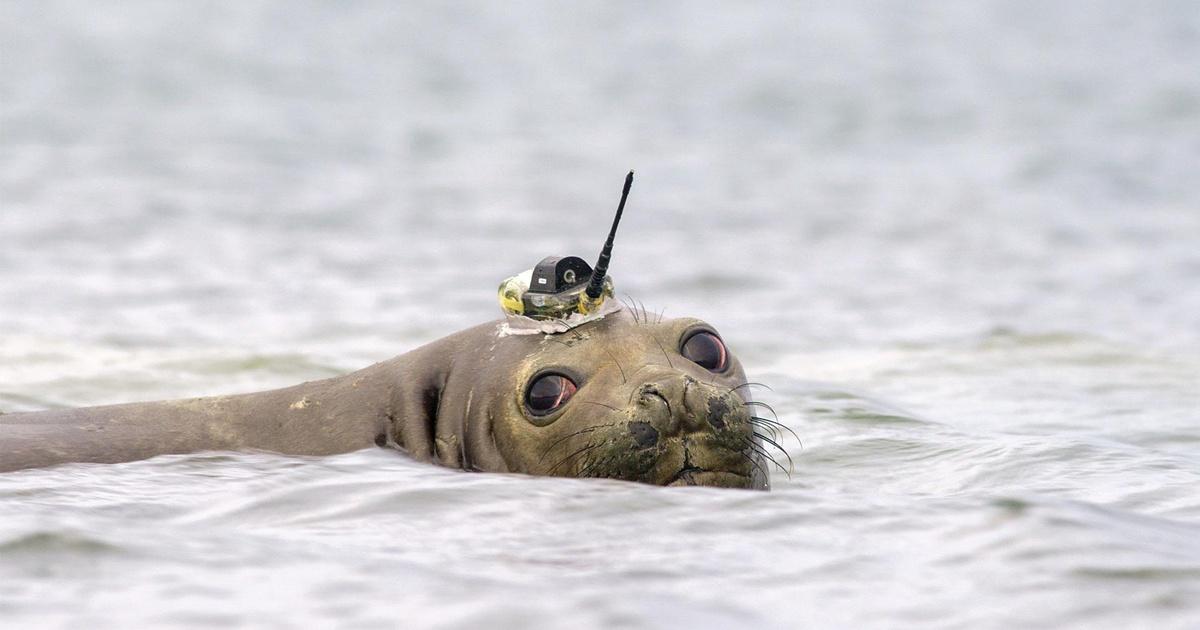 Dynamic Planet | Water | Episode 3 | PBS