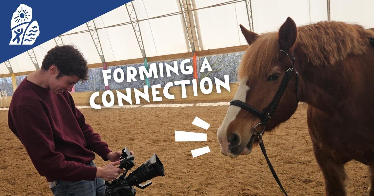 Living West Michigan | Saddles, Stables, and Soulful Connections ...