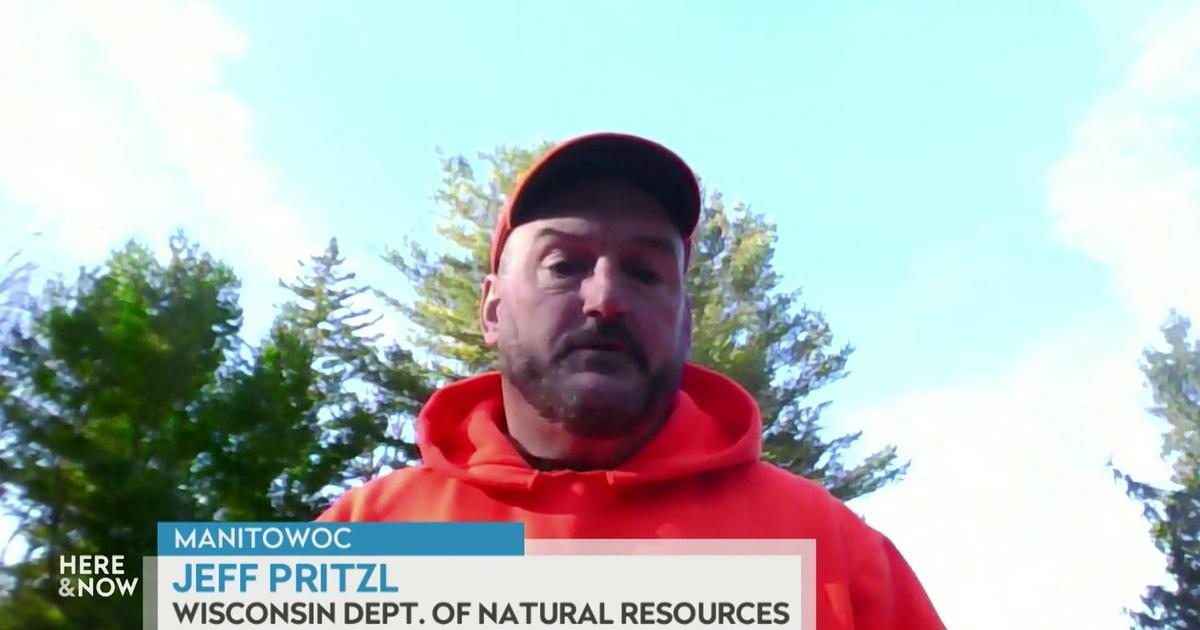 Here and Now | Jeff Pritzl on Wisconsin's 2025 Gun Deer Hunt Season ...