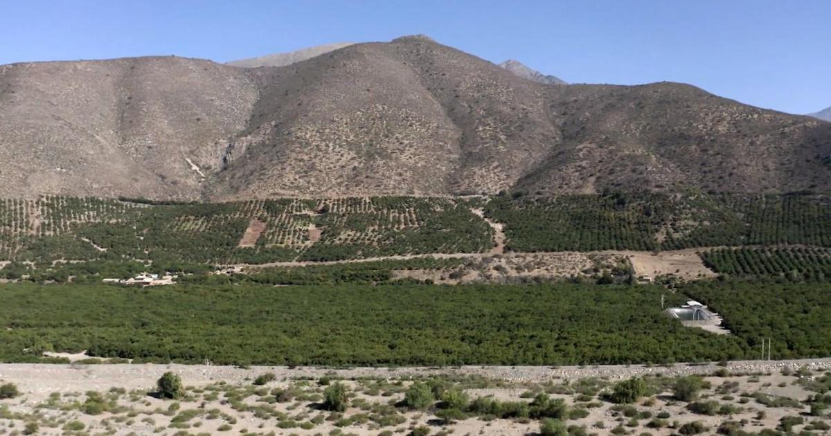 Earth Focus | Avocado Wars Preview | Season 2 | Episode 2 | PBS