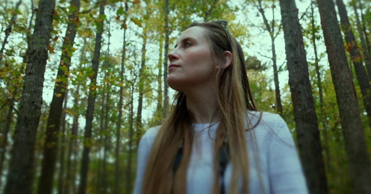 Curate | Season 7 | Episode 5 | PBS