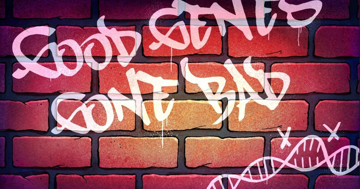 The Gene | The Gene Explained | Good Genes Gone Bad | PBS