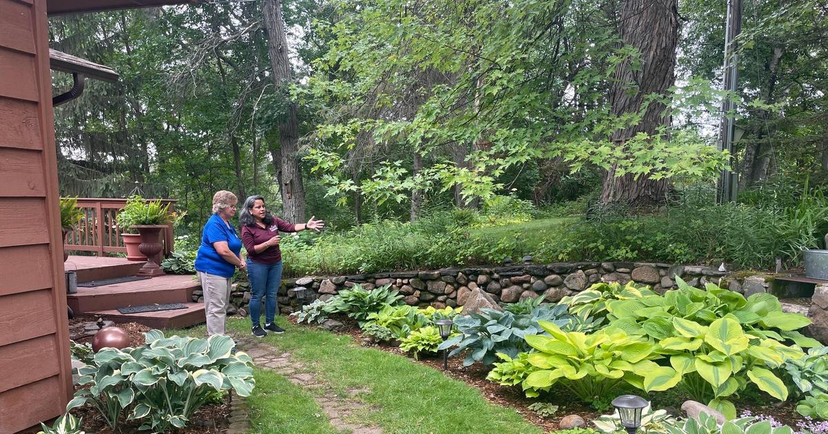 Prairie Yard & Garden | Selecting and Growing Hostas | Season 37 ...