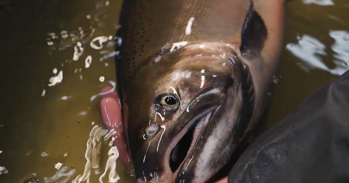 Bay Area Bountiful | Bay Area Bountiful: Water Conservation | Season 1 ...