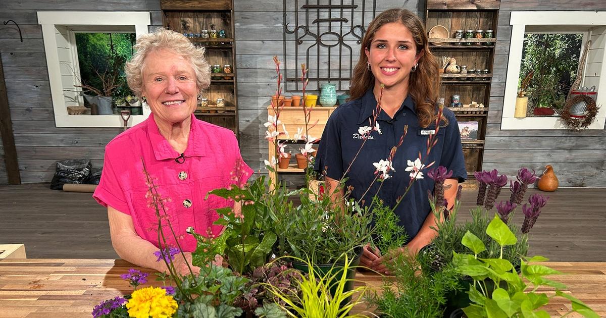 Making It Grow | Plants for Containers from Forest Lake Greenhouses ...