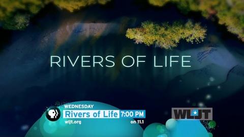NOVA: Decoding the Weather Machine | WLJT-DT | PBS
