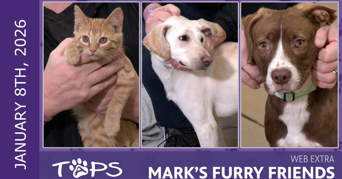 Mark’s Furry Friends | 1/8/2026 | Bears, Baja Blast and Chicken ...