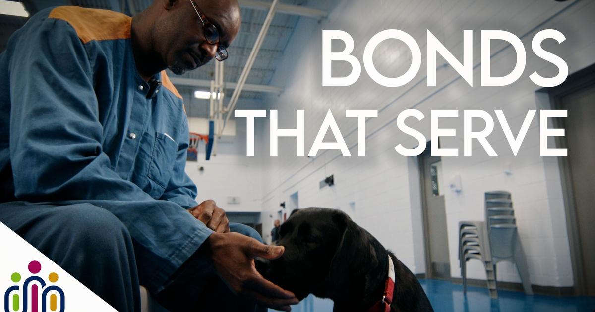 Mutually Inclusive | Paws With A Cause: Training Service, Finding ...