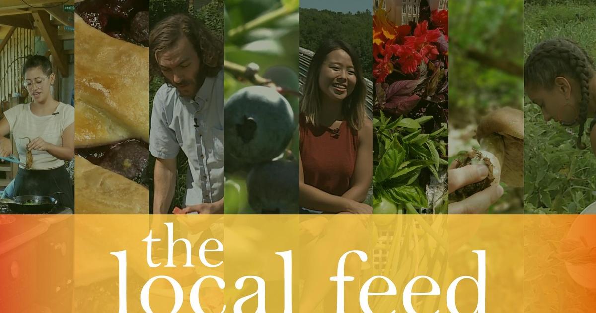 The Local Feed | The Local Feed | Season 1 Preview | PBS