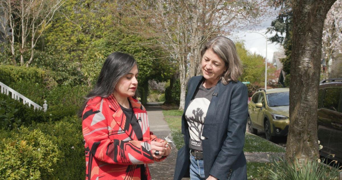 The Newsfeed | A walking tour of Seattle’s street trees | Season 1 ...