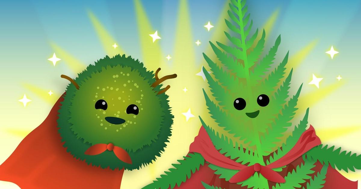 Crash Course Botany | Why Don't These Plants Need Seeds? (Moss and ...