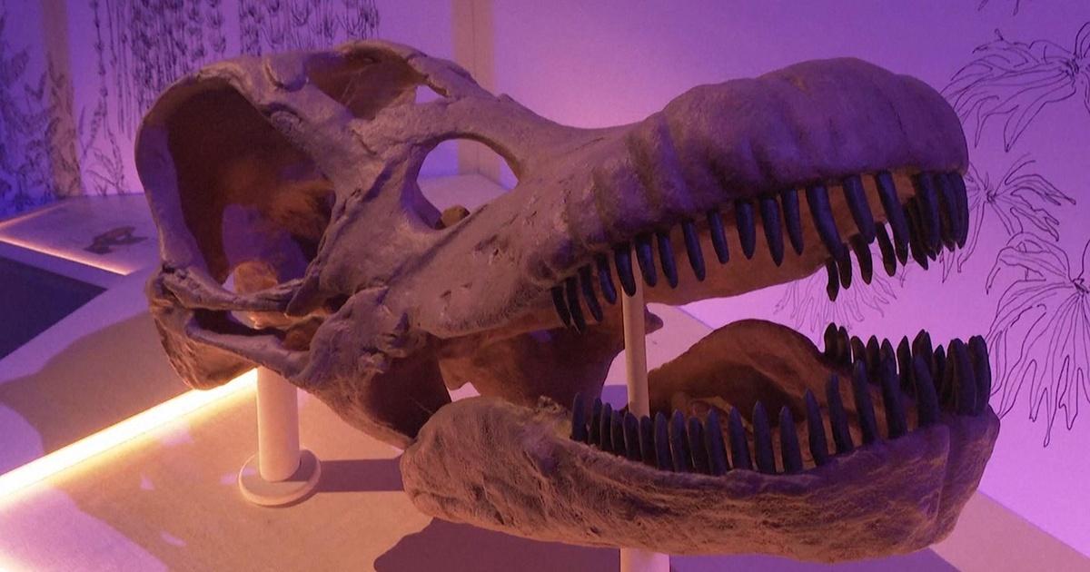 News Quiz | April 13, 2023 | Season 38 | Episode 28 | KERA