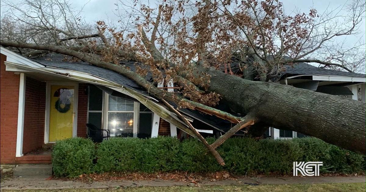 Kentucky Edition | Basham Family | Season 1 | Episode 5 | PBS