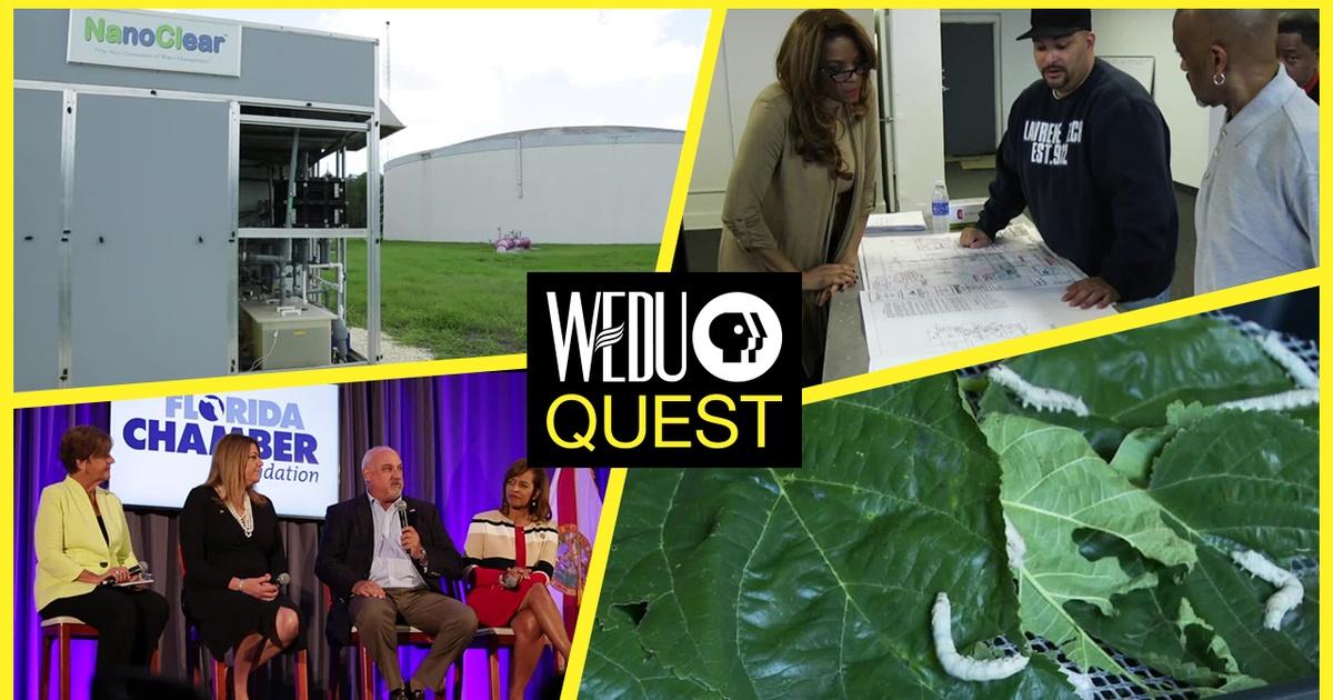 WEDU Quest | Season 3 | Episode 309 Preview | PBS