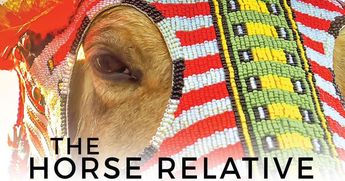 The Horse Relative | PBS