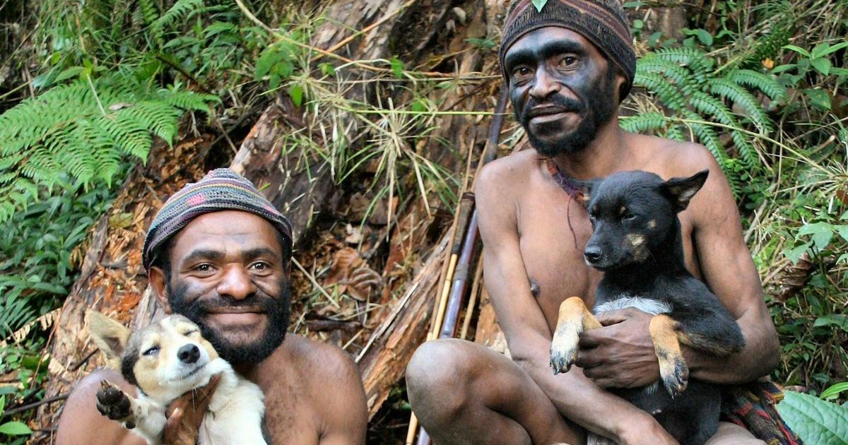 Nature | Dogs That Changed the World (Part 1) - Preview | Season 25 ...