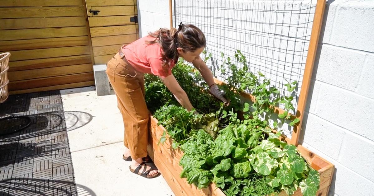 You Oughta Know | Philadelphia Box Gardens: No Space? No Problem ...