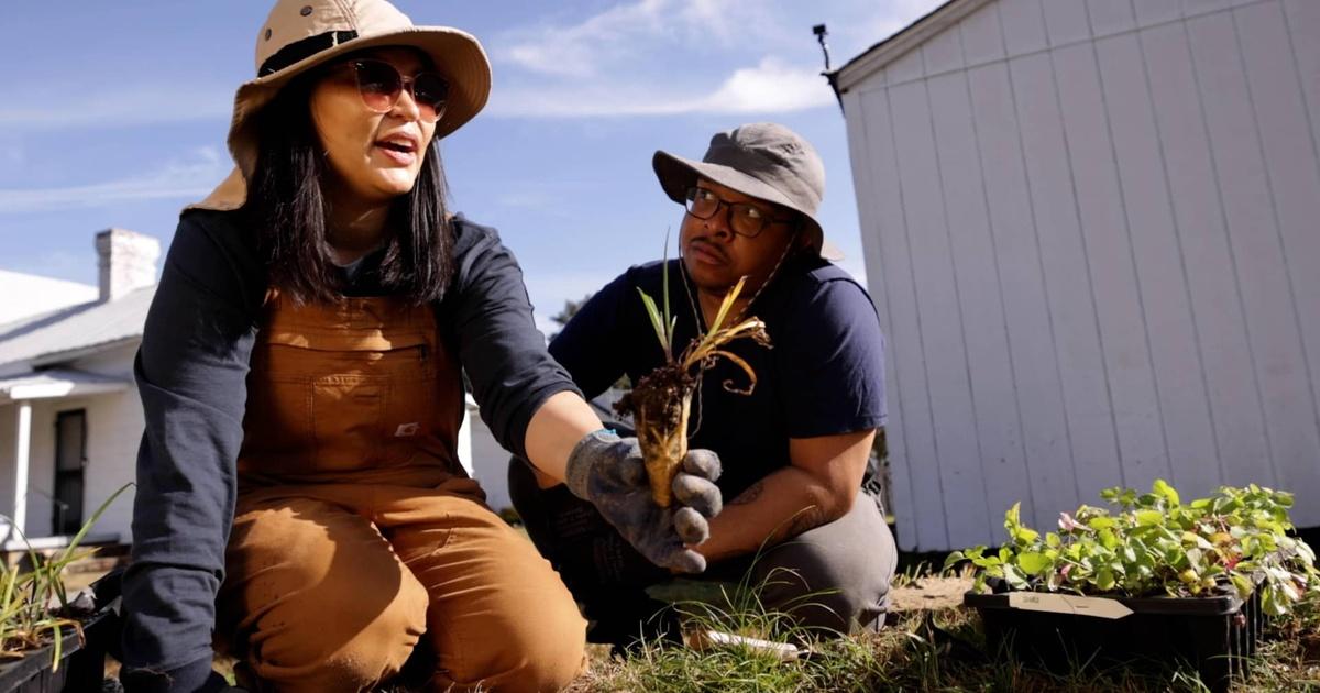State of Change | Planting Piedmont Grasslands Helps Fight Climate ...