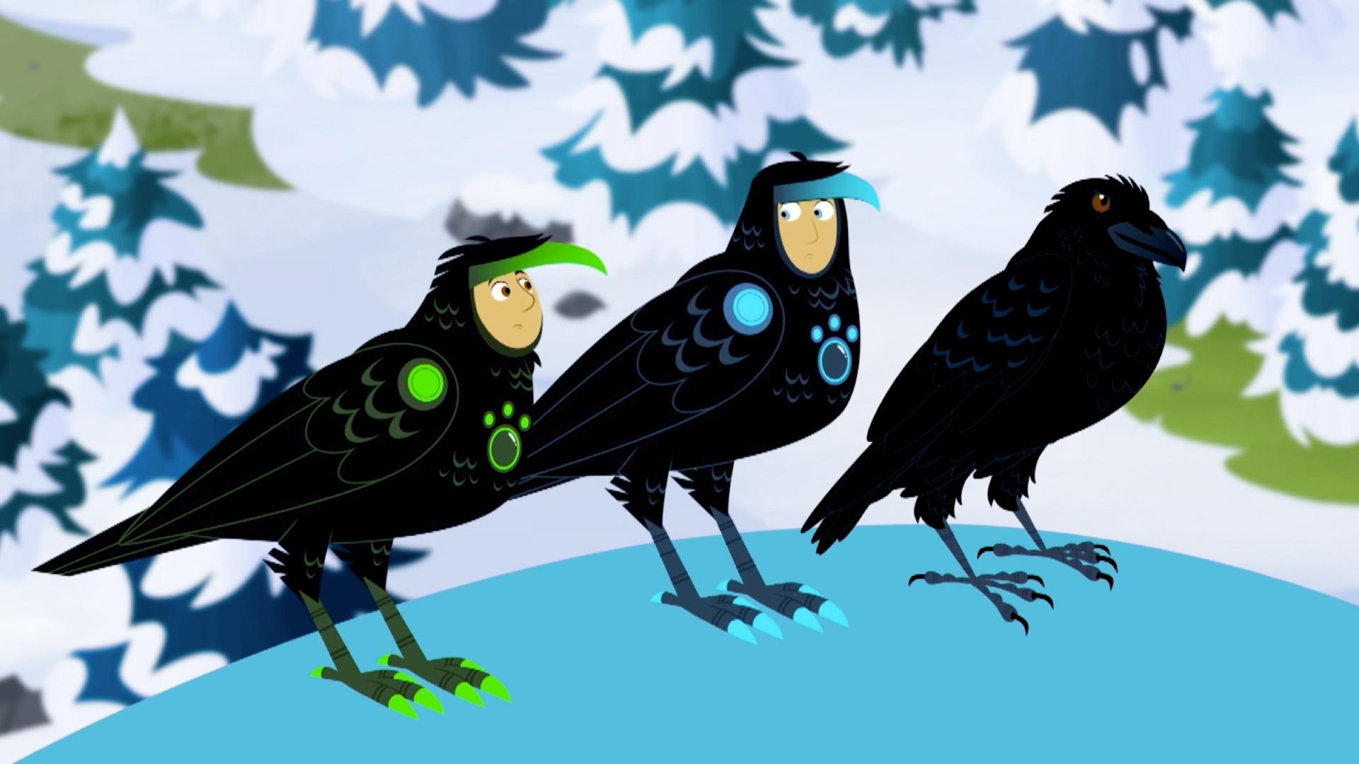 Friend or Foe | Watch online at WTTW.com