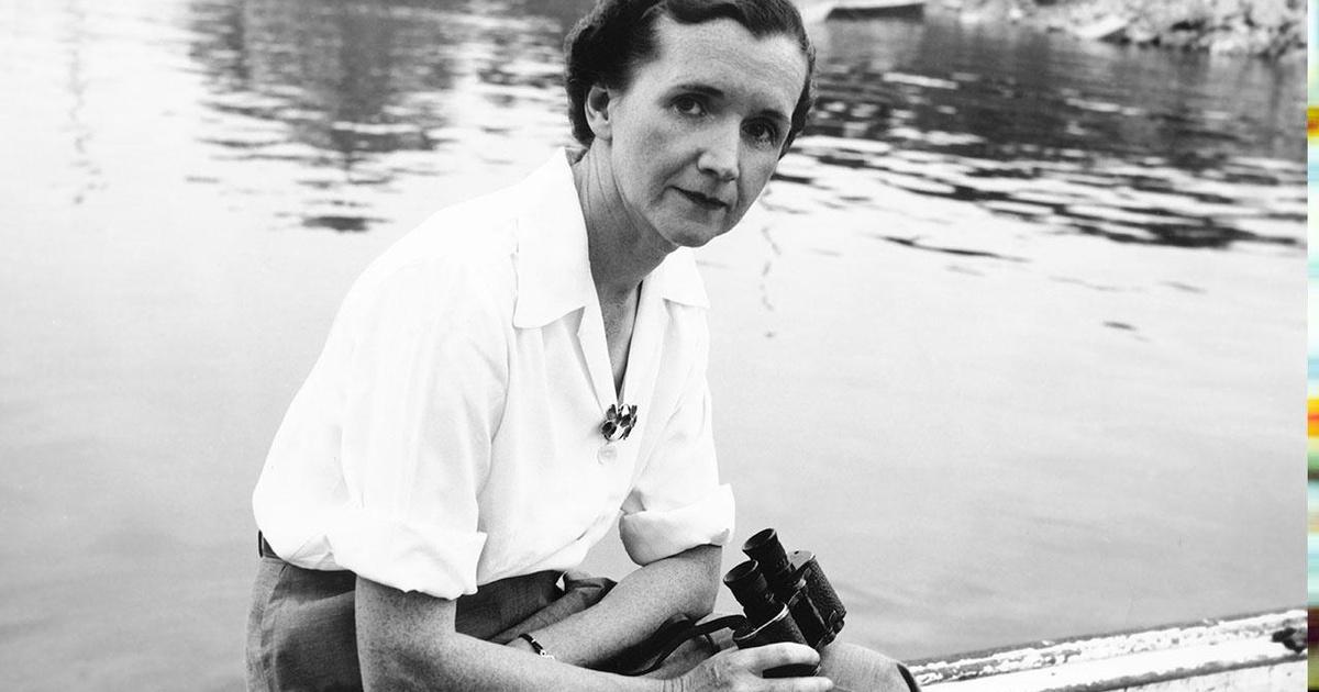 Arizona PBS Previews | Rachel Carson: American Experience | PBS