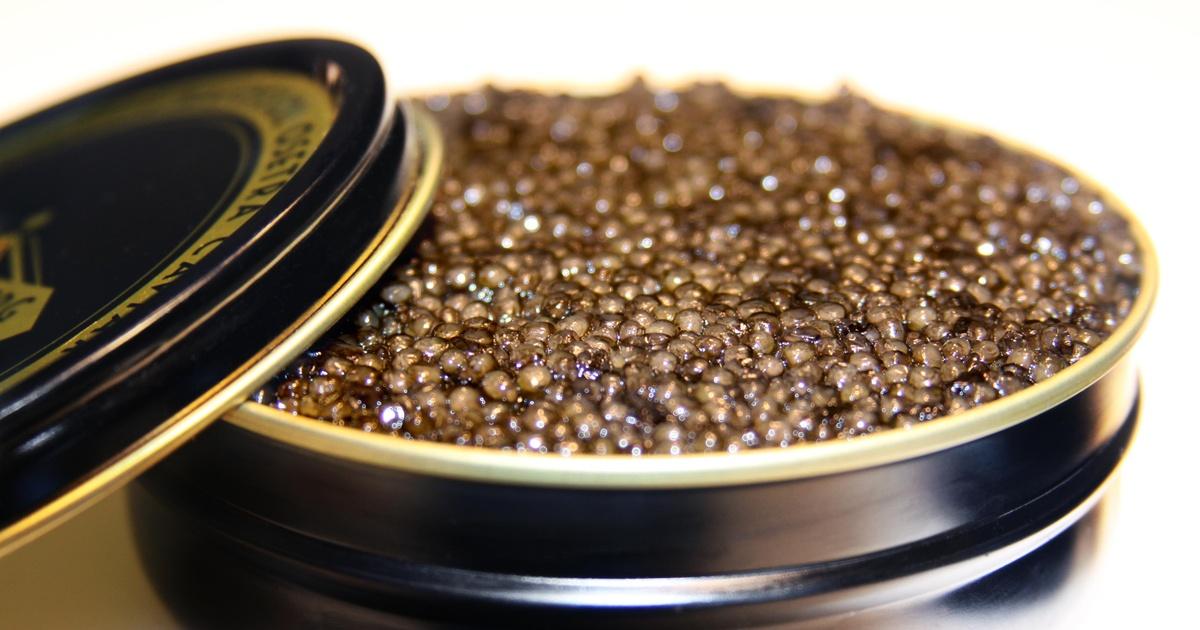 SCI NC | How to raise Russian caviar, NC-style | PBS