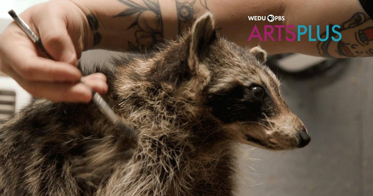 WEDU Arts Plus | Season 12 | 1219 | Episode | PBS