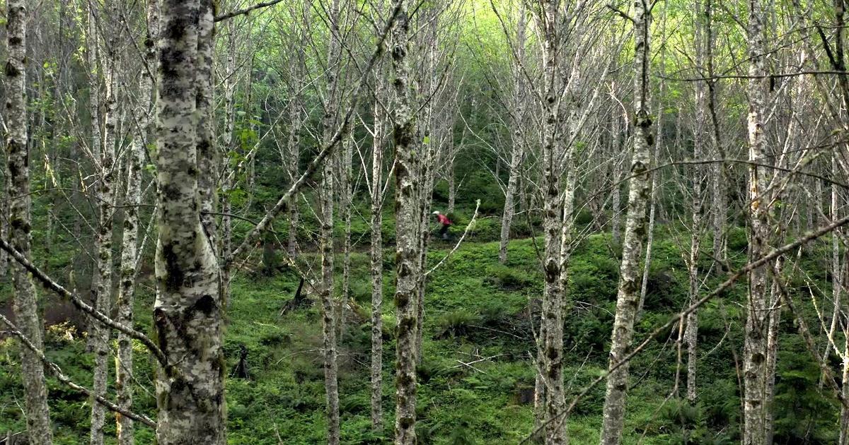 Oregon Field Guide | Portland Mountain Biking | Season 33 | Episode 5 | PBS