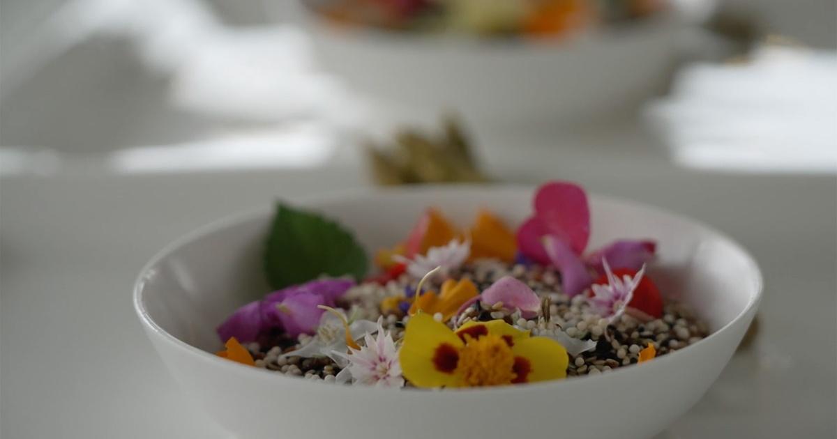 Wisconsin Foodie | A Top Chef Dinner in Door County with Kat Turner ...