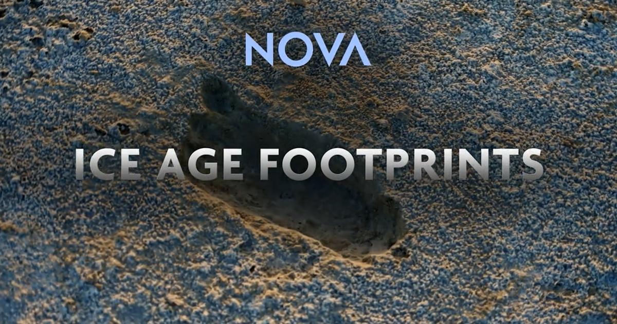 WTVP Spots | TRAILER | NOVA 4908 | NOVA: Ice Age Footprints | Season ...