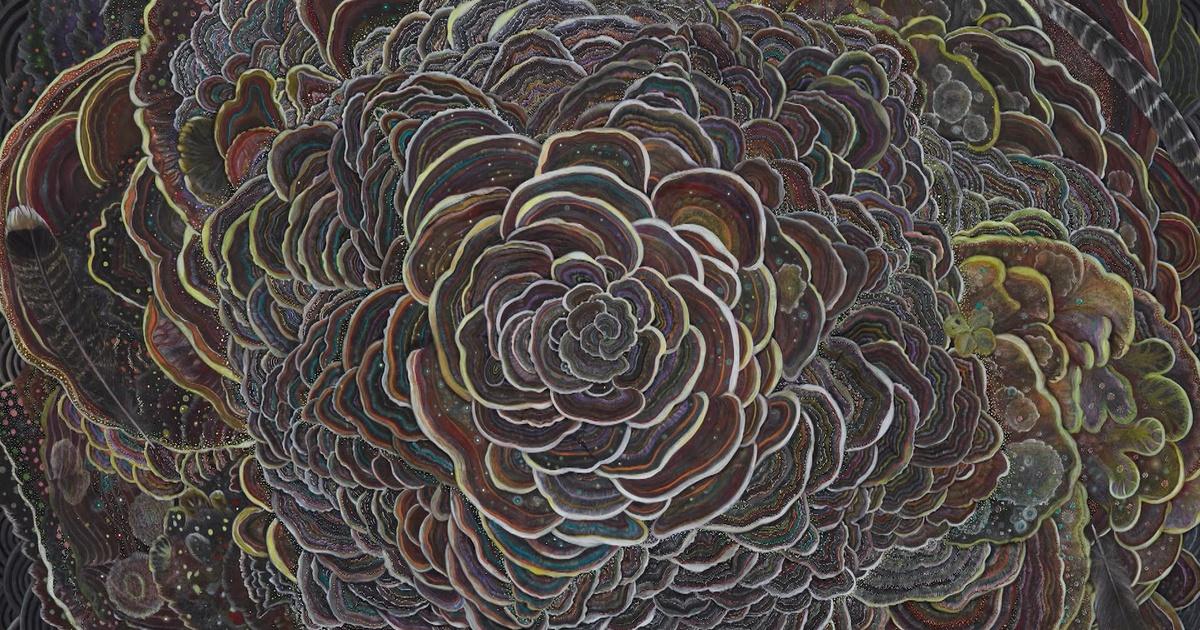 OPB Science From the Northwest | Artist Claire Burbridge | Season 2022 ...