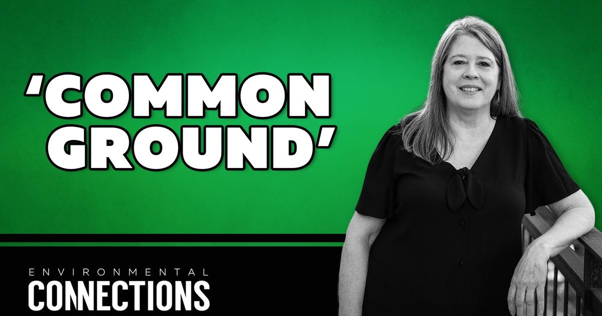 Connections with Evan Dawson | Author Eileen Flanagan on finding common ...