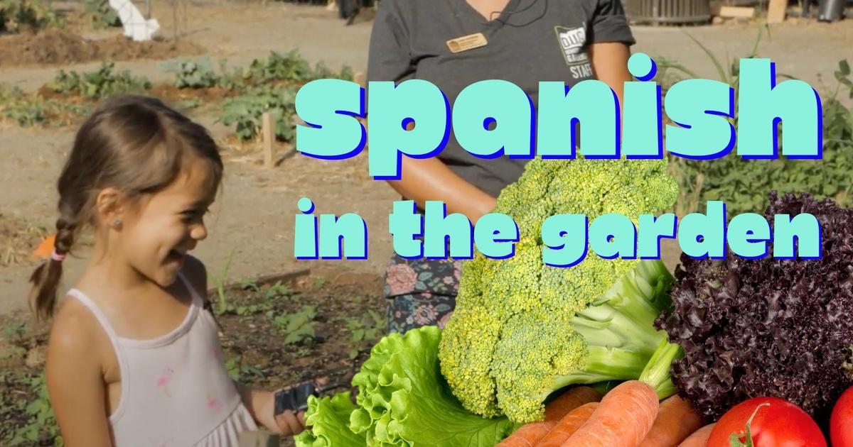 Farmer Dave and Friends | Spanish in the Garden | PBS