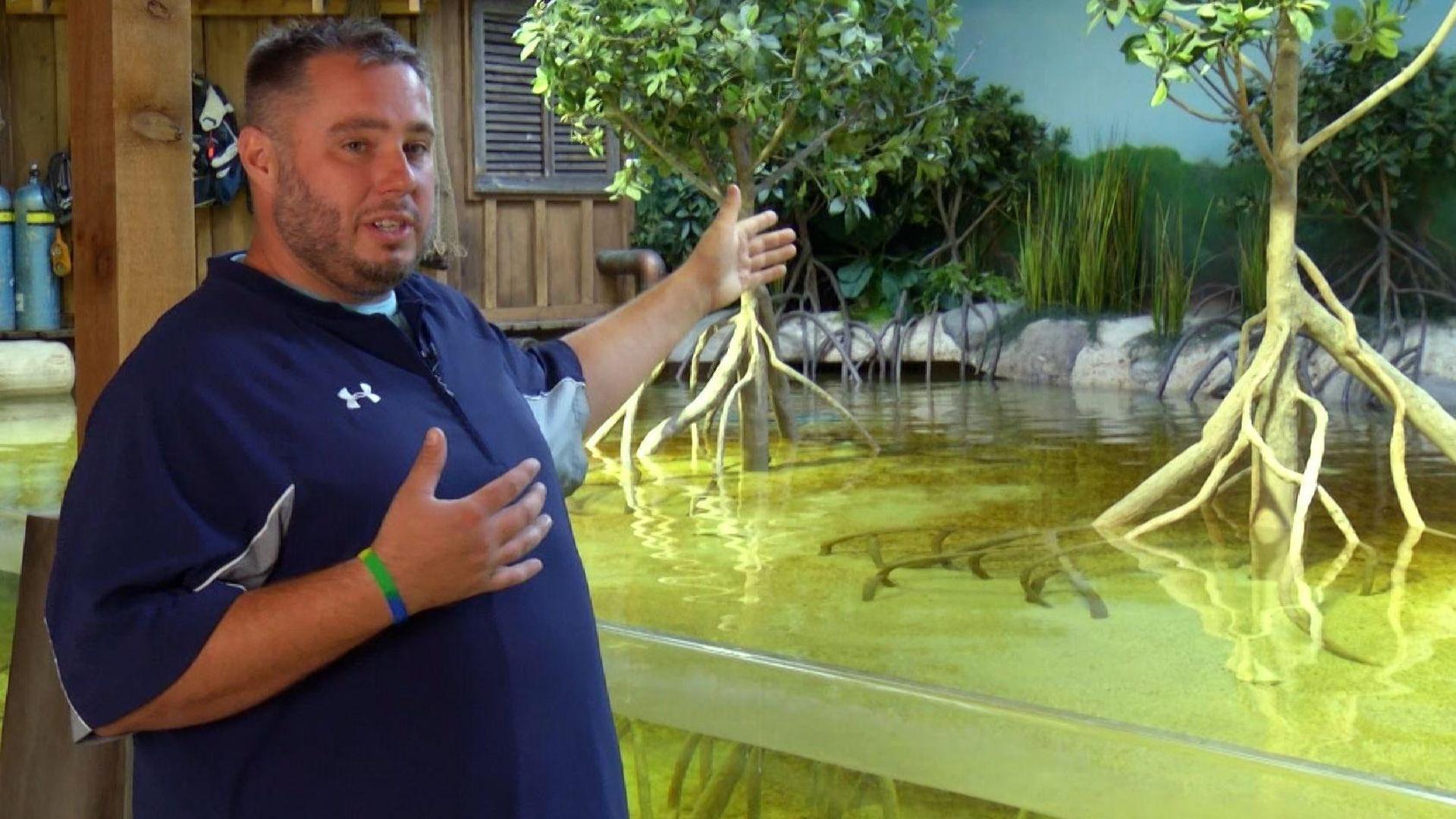 arts IN focus: Scenic Artists | arts IN focus | ALL ARTS