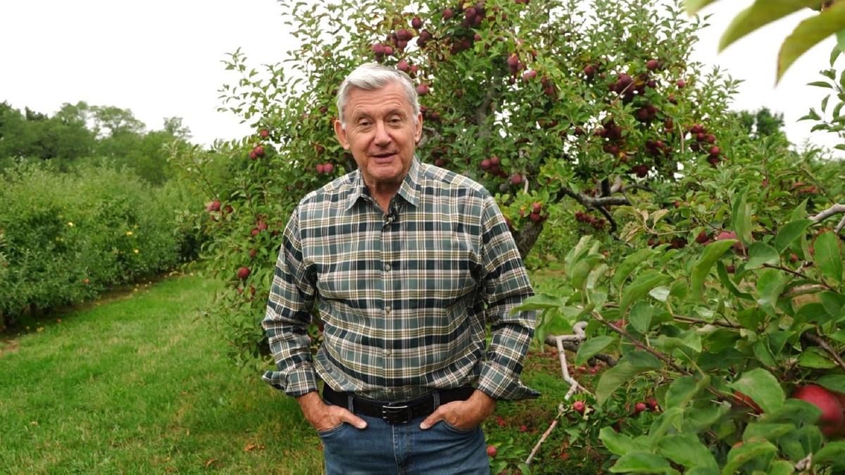 Woodside Orchards, Peconic Gold Oysters, Ty Llywd Farm | Newsday ...