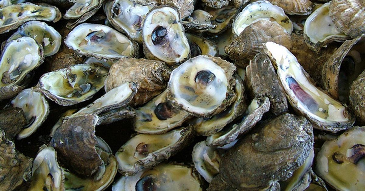 Louisiana Public Broadcasting Presents | Louisiana: The State We're In ...