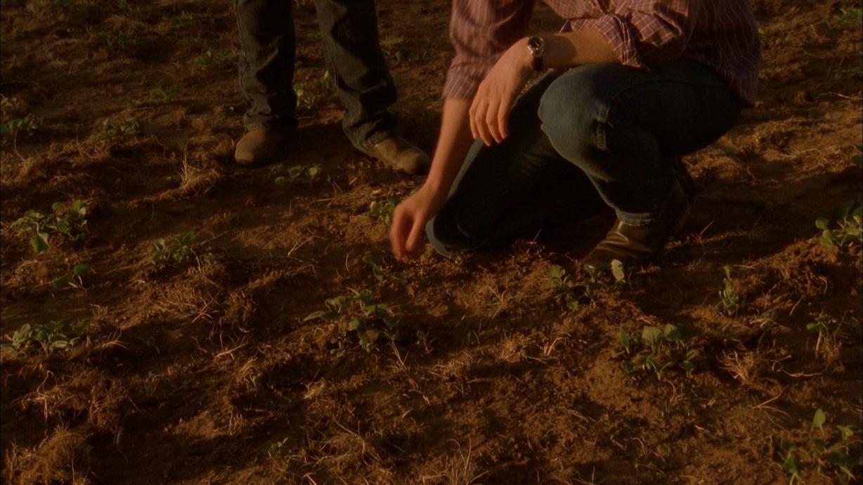 Ep. 19: The Italian Stallion | Watch on PBS Wisconsin