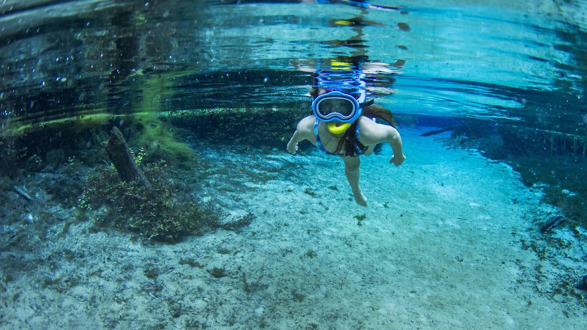 Gaining Vision Underwater | Nature | THIRTEEN - New York Public Media