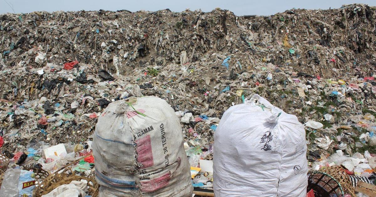 PBS NewsHour | How can individuals combat plastic pollution? | Season ...