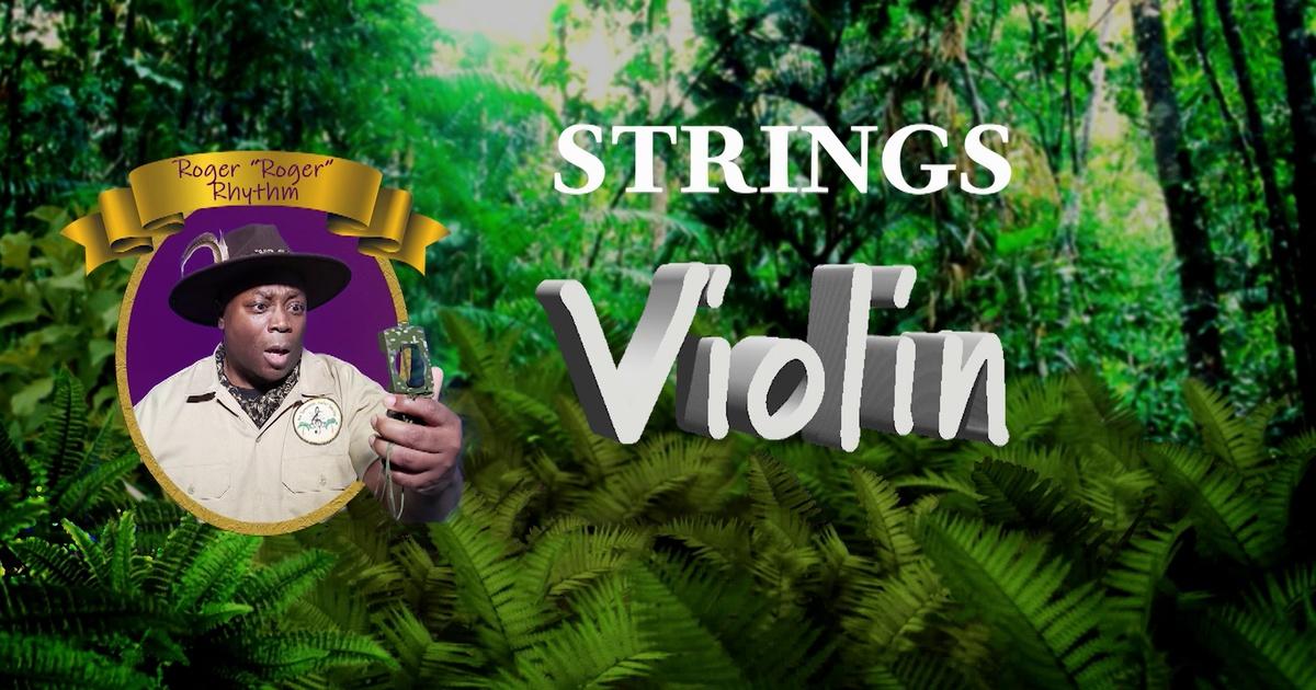 TSO Symphonic Safari Adventure! | Violin: Meet Taylor, the violinist! | PBS