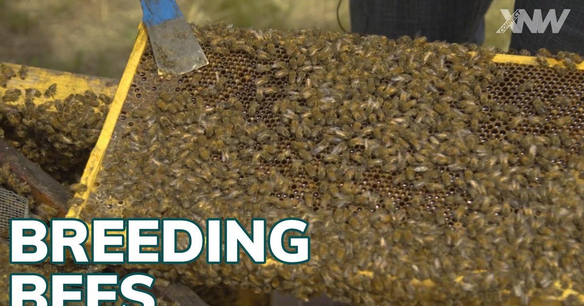 xConnect Northwest | NWPB