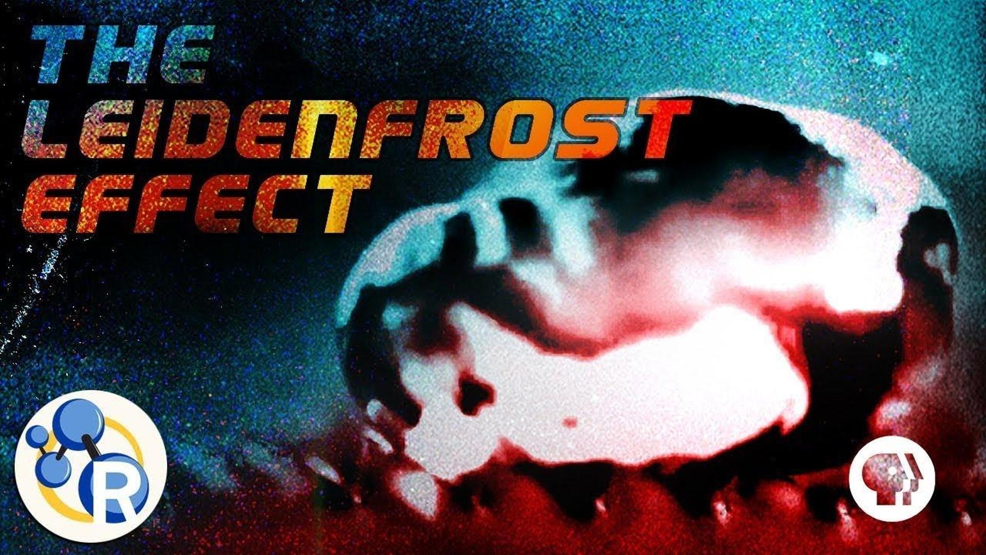 The Leidenfrost Effect | Reactions | ALL ARTS