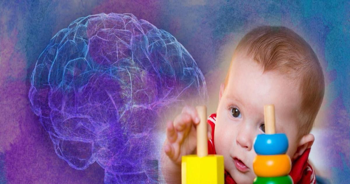 KSPS Documentaries | Babies' Brains | PBS