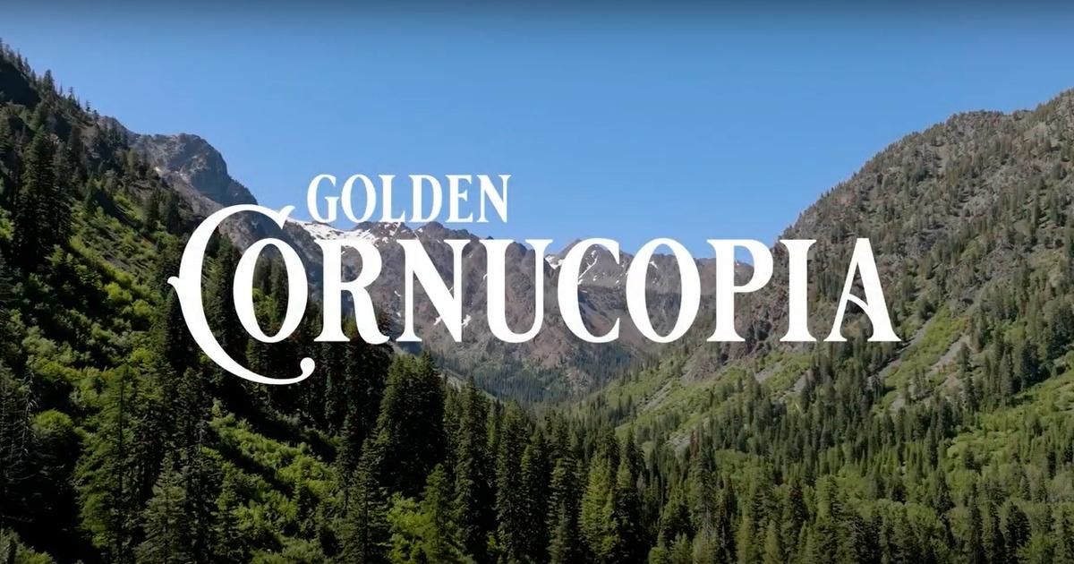 Cinema 42 | Golden Cornucopia | PBS