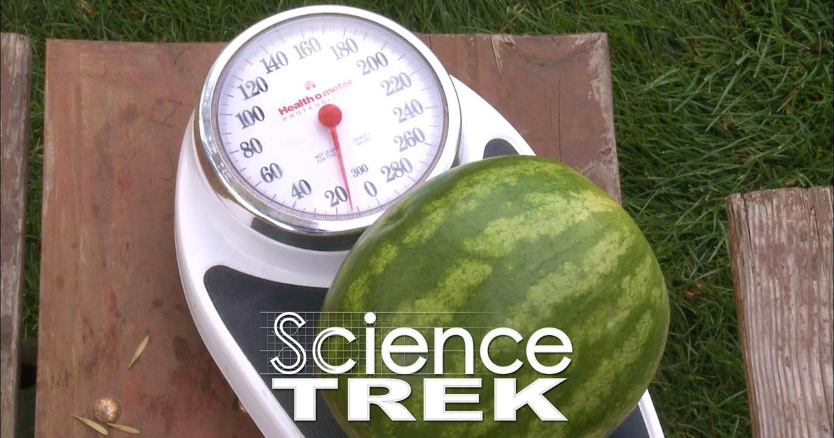 Science Trek | Measure: Mass vs. Weight | PBS