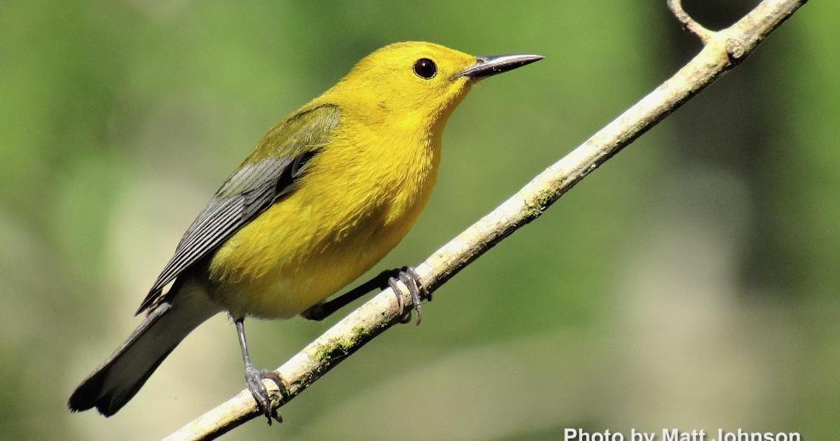 Making It Grow | Beidler Forest Audubon Center & Sanctuary | Season ...