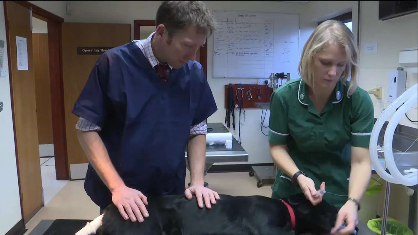 The Yorkshire Vet | Season 2, Episode 2 | PBS