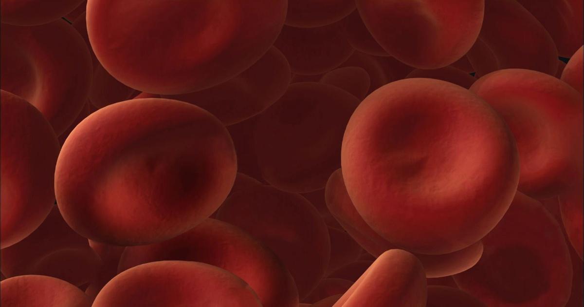 Science Trek | The Heart: Blood Basics | PBS