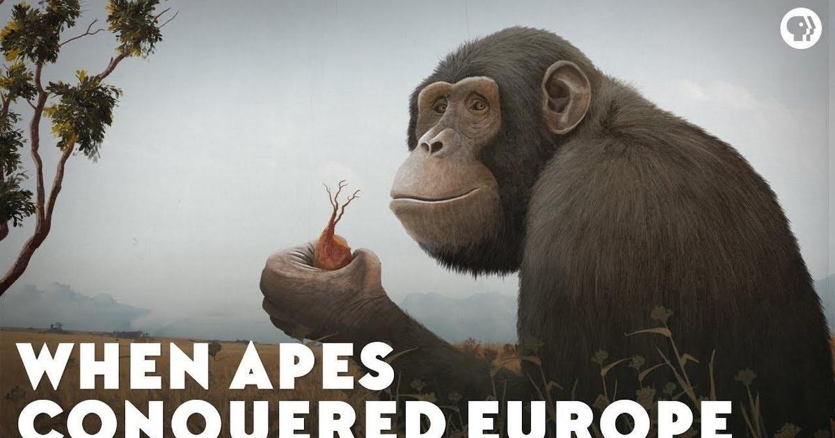 Eons | When Apes Conquered Europe | Season 2 | Episode 6 | PBS