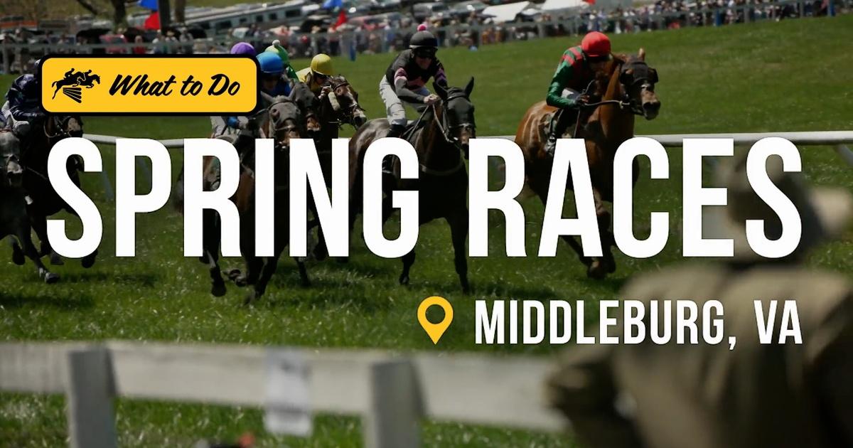 Get Out of Town | The Middleburg Spring Races are a Century Old ...